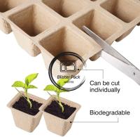 China 10 Pack Biodegradable Paper Deep Seed Starting Trays For Plant Starters for sale