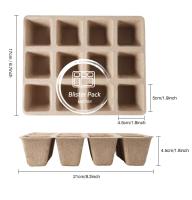 China 10 Pack Biodegradable Paper Deep Seed Starting Trays For Plant Starters for sale