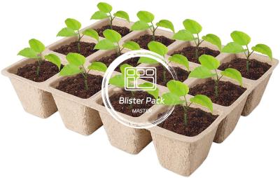 China 10 Pack Biodegradable Paper Deep Seed Starting Trays For Plant Starters for sale