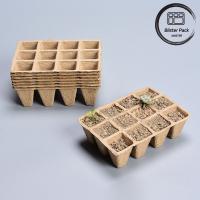 China 10 & 12 Cell Biodegradable Seed Starter Trays for Efficient Nursery Plant Growth for sale