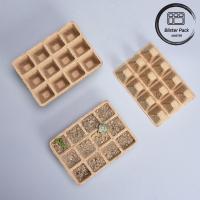 China 10 & 12 Cell Biodegradable Seed Starter Trays for Efficient Nursery Plant Growth for sale