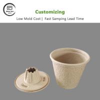 China Custom Biodegradable Sugarcane Bagasse 10 Cell Plant Trays Starter Kit for Seed Planting for sale