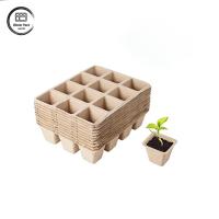 China Custom Biodegradable Sugarcane Bagasse 10 Cell Plant Trays Starter Kit for Seed Planting for sale