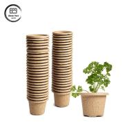 China Custom Biodegradable Sugarcane Bagasse 10 Cell Plant Trays Starter Kit for Seed Planting for sale