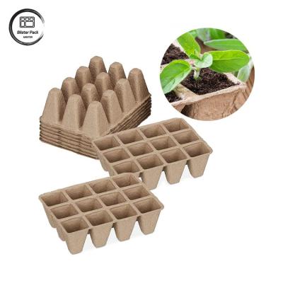 China Custom Biodegradable Sugarcane Bagasse 10 Cell Plant Trays Starter Kit for Seed Planting for sale