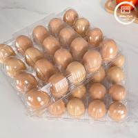 China 30 Hole Plastic Egg Tray Packaging Carton By Manufacturers For Secure Egg Storage for sale