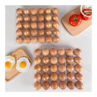 China 30 Hole Plastic Egg Tray Packaging Carton By Manufacturers For Secure Egg Storage for sale