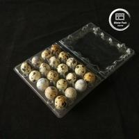 China Clear PET Plastic Egg Trays with Lid 20 24 30 Cells for Quail Eggs Disposable Packaging for sale