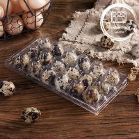 China Clear PET Plastic Egg Trays with Lid 20 24 30 Cells for Quail Eggs Disposable Packaging for sale