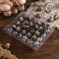China Clear PET Plastic Egg Trays with Lid 20 24 30 Cells for Quail Eggs Disposable Packaging for sale