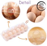 China 12 Hole Transparent Plastic Durable Egg Blister Tray Cartons for Secure Packaging for sale