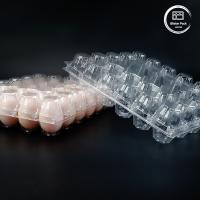 China Biodegradable Egg Blister Tray Recyclable 30 Egg Holder with Competitive Pricing for sale