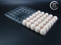 China Biodegradable Egg Blister Tray Recyclable 30 Egg Holder with Competitive Pricing for sale