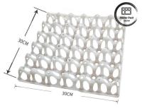 China Affordable 30 Cell Plastic Egg Blister Tray Packaging for Chicken Eggs for sale