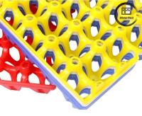 China Affordable 30 Cell Plastic Egg Blister Tray Packaging for Chicken Eggs for sale