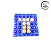 China Affordable 30 Cell Plastic Egg Blister Tray Packaging for Chicken Eggs for sale