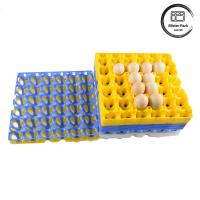 China Affordable 30 Cell Plastic Egg Blister Tray Packaging for Chicken Eggs for sale