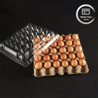 China PET Plastic Egg Tray 30 Hole Cartons S M L Sizes with Paper Bottom for sale