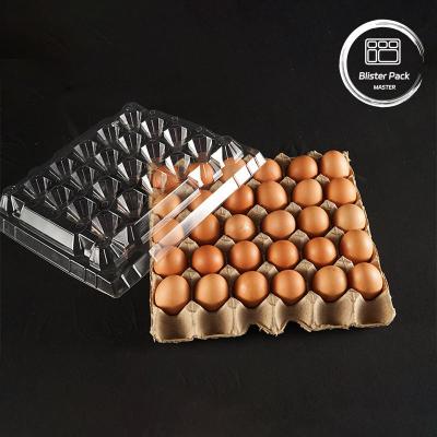 China PET Plastic Egg Tray 30 Hole Cartons S M L Sizes with Paper Bottom for sale