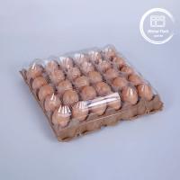 China PET Plastic Egg Tray 30 Hole Cartons S M L Sizes with Paper Bottom for sale