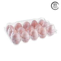 China Vacuum Formed 30 Egg Storage Trays Disposable Transparent PET Plastic Containers for sale