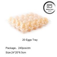 China Transparent Plastic Egg Tray 4 To 30 Egg Capacity Blister Box Packaging for sale