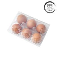 China Clear PET Plastic 28 Hole Egg Tray 28.3x23.5x6.4cm Thermoformed Transparent Blister Pack for Chicken Eggs for sale