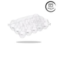 China 3x4 Clear Plastic Egg Containers Customized Hot Selling Plastic Egg Cartons for sale