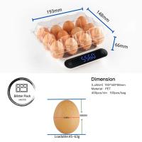 China 3x4 Clear Plastic Egg Containers Customized Hot Selling Plastic Egg Cartons for sale