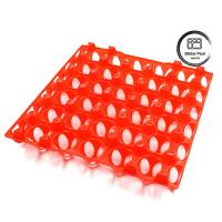 China Colorful 30 Egg Plastic Tray Durable PE Thermoformed Crate for Chicken Farm Transport for sale