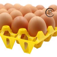 China Colorful 30 Egg Plastic Tray Durable PE Thermoformed Crate for Chicken Farm Transport for sale