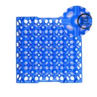 China Colorful 30 Egg Plastic Tray Durable PE Thermoformed Crate for Chicken Farm Transport for sale