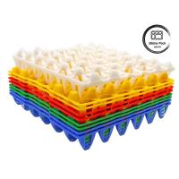 China Colorful 30 Egg Plastic Tray Durable PE Thermoformed Crate for Chicken Farm Transport for sale