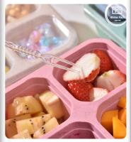 China Reusable 4 Compartment Lunch Box / Bento Snack Boxes For School And Picnics for sale