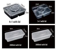 China 6 Compartment Disposable Transparent Plastic Bento Box Meal Prep Container for Hotels Events for sale