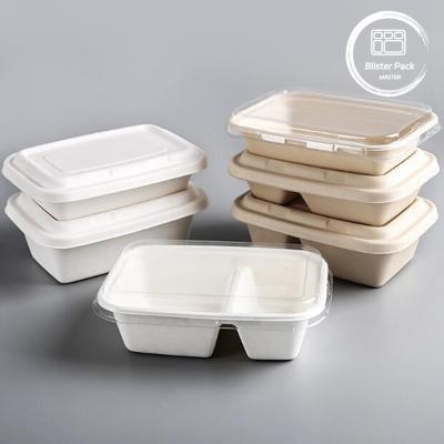 China Square Eco Friendly Biodegradable Sugarcane Pulp Lunch Box 100% Compostable 500ml for sale