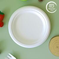 China Square Eco Friendly Biodegradable Sugarcane Pulp Lunch Box 100% Compostable 500ml for sale