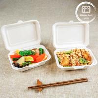 China Blister Eco Compostable Clamshell 3 Compartment Disposable Lunch Box Sugarcane Bagasse for sale