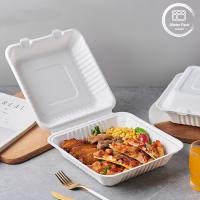 China PFAS Free Compostable Clamshell Lunch Box Fuling Biodegradable Bagasse Pulp Fast Food for sale