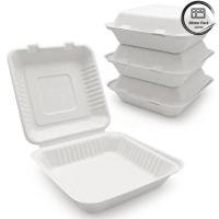 China 100% Sugarcane Bagasse 9x9 Clamshell Recyclable Takeaway Boxes Home Compostable 1 Compartment for sale
