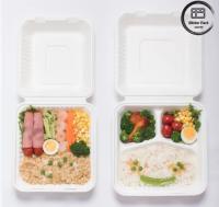 China 100% Sugarcane Bagasse 9x9 Clamshell Recyclable Takeaway Boxes Home Compostable 1 Compartment for sale