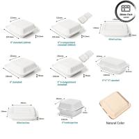 China 100% Sugarcane Bagasse 9x9 Clamshell Recyclable Takeaway Boxes Home Compostable 1 Compartment for sale
