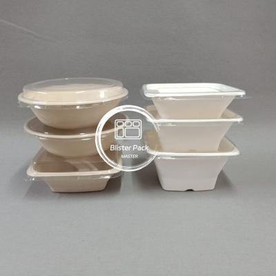 China PFAS Free Biodegradable Sugarcane Bagasse Bowls Disposable 8oz to 32oz for Soup Salad for sale
