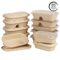 China Sugarcane Bagasse 2 Compartment Clamshell Lunch Box 8oz 32oz Takeaway Food Plate with Lid for sale