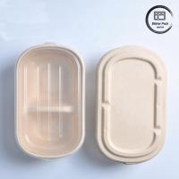 China Sugarcane Bagasse 2 Compartment Clamshell Lunch Box 8oz 32oz Takeaway Food Plate with Lid for sale