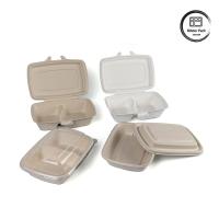 China 9 Inch Biodegradable Clamshell Takeout Containers Eco Friendly Disposable Food Storage for sale