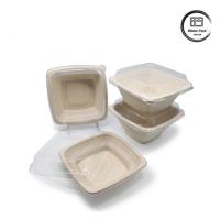 China 9 Inch Biodegradable Clamshell Takeout Containers Eco Friendly Disposable Food Storage for sale