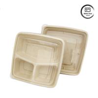 China 9 Inch Biodegradable Clamshell Takeout Containers Eco Friendly Disposable Food Storage for sale