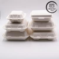 China Biodegradable Sugarcane Bagasse 9x6 Clamshell Lunch Box Eco Friendly Take Out Food Container for sale