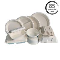 China Custom Sugarcane Bagasse Meal Biodegradable Food Containers Eco Friendly for sale